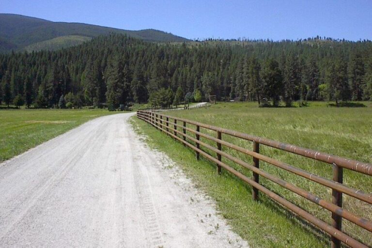 Bison Pipe | International Pipe