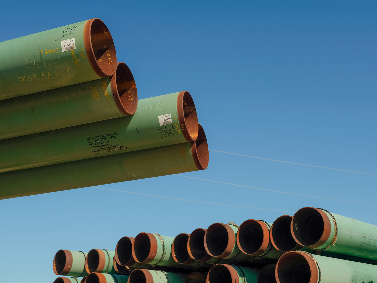 Bison Idaho | International Pipe